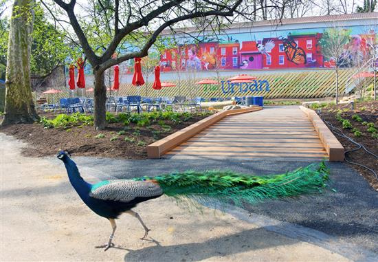 Philly Zoo Kicks off Spring with Urban Green, Zoo Key and Creatures of ...