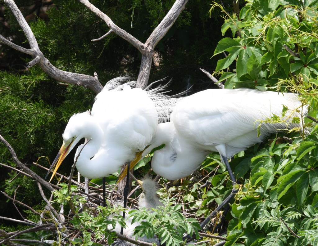 ChitChat: Kylie & Jason Kelce at the Jersey Shore, Martha Plimpton, and Memories of Margate ...