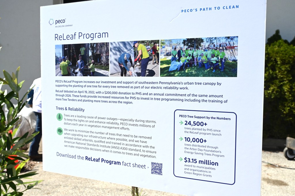 Greening the Region, One Tree at a Time and more chit chat - Philly ...